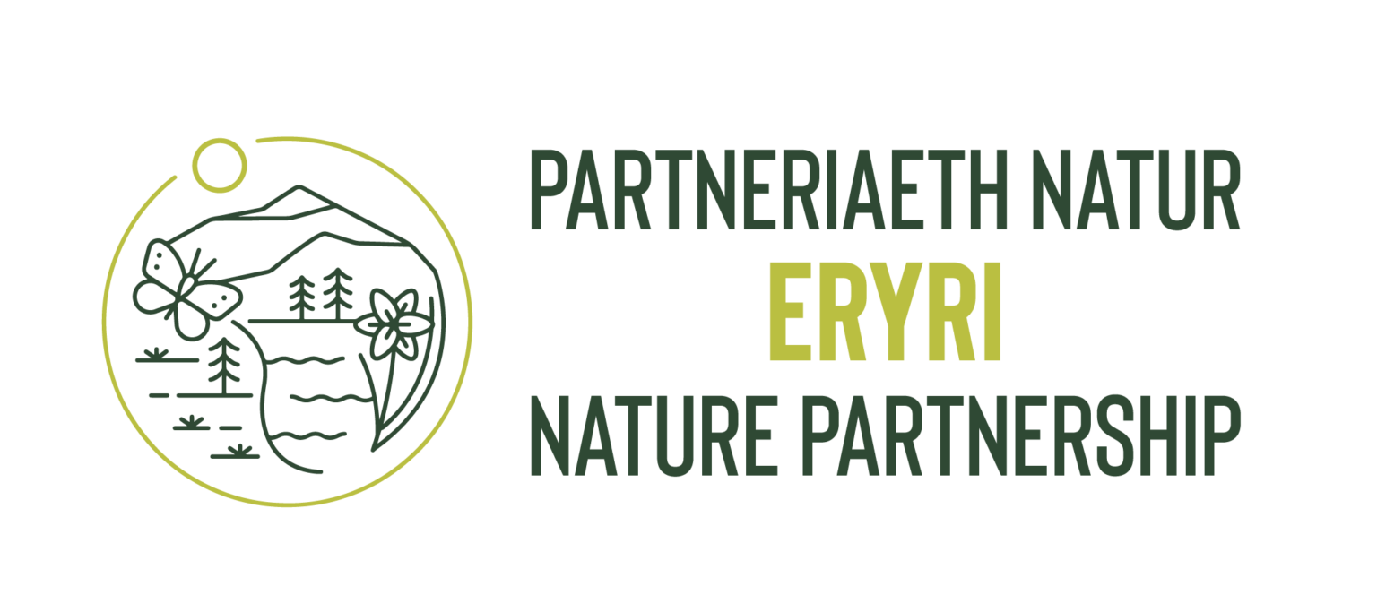 Eryri Nature Partnership | Eryri National Park